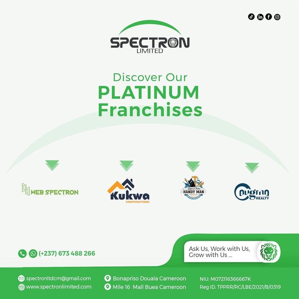 Spectron Limited LLC Cameroon, Company Definition, Affiliations & Franchises | Webspectron ...